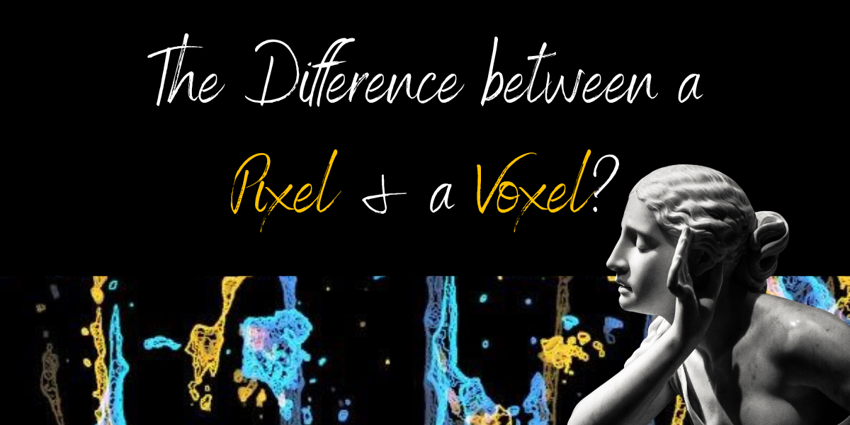 #011 What is the Difference between a Pixel and a Voxel? Image Analysis ...