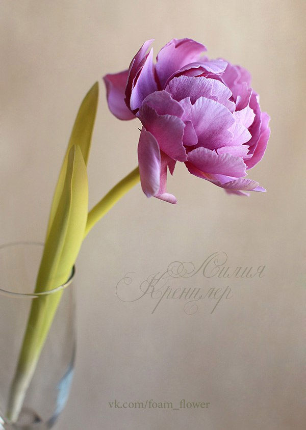 МАСТЕР-КЛАССЫ | foamiran