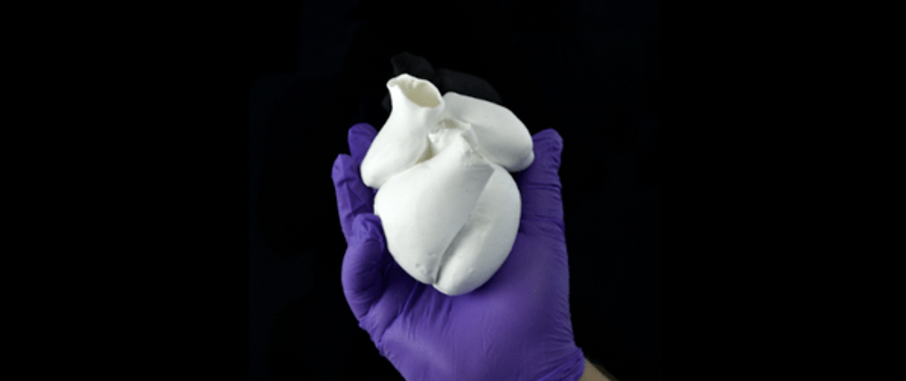 New Granular Hydrogel for Tissue Bioprinting