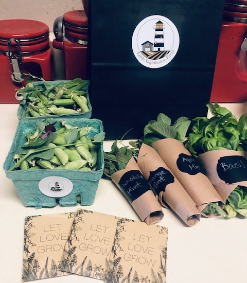 ABOUT | Little Lighthouse Farm