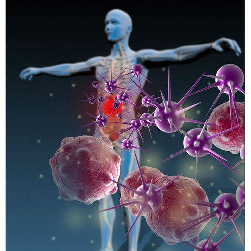 Homotoxicology | Scio international