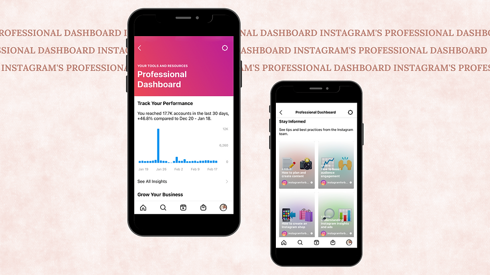 What is Instagram's Professional Dashboard?