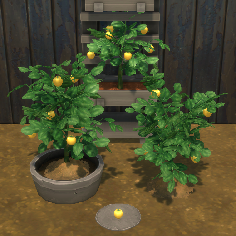Yellow Tomato Harvestable & Plant - The Sims 4 Mods - CurseForge