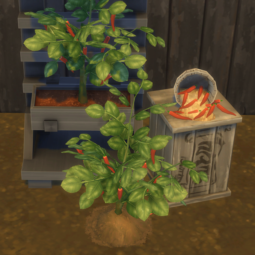 Cayenne Pepper Harvestable & Plant - The Sims 4 Mods - CurseForge