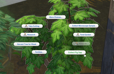 Cheesemaking Skill · Sims 4 Mods