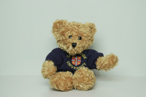 Cambridge University Teddy Bears | Indelibly Cambridge