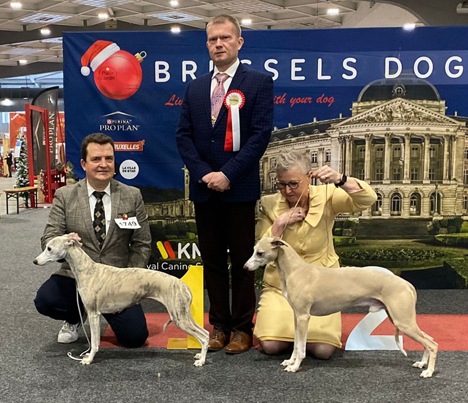 Belgian Winner Show