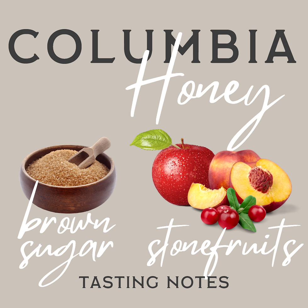 Columbian Honey | Rock Falls Coffee