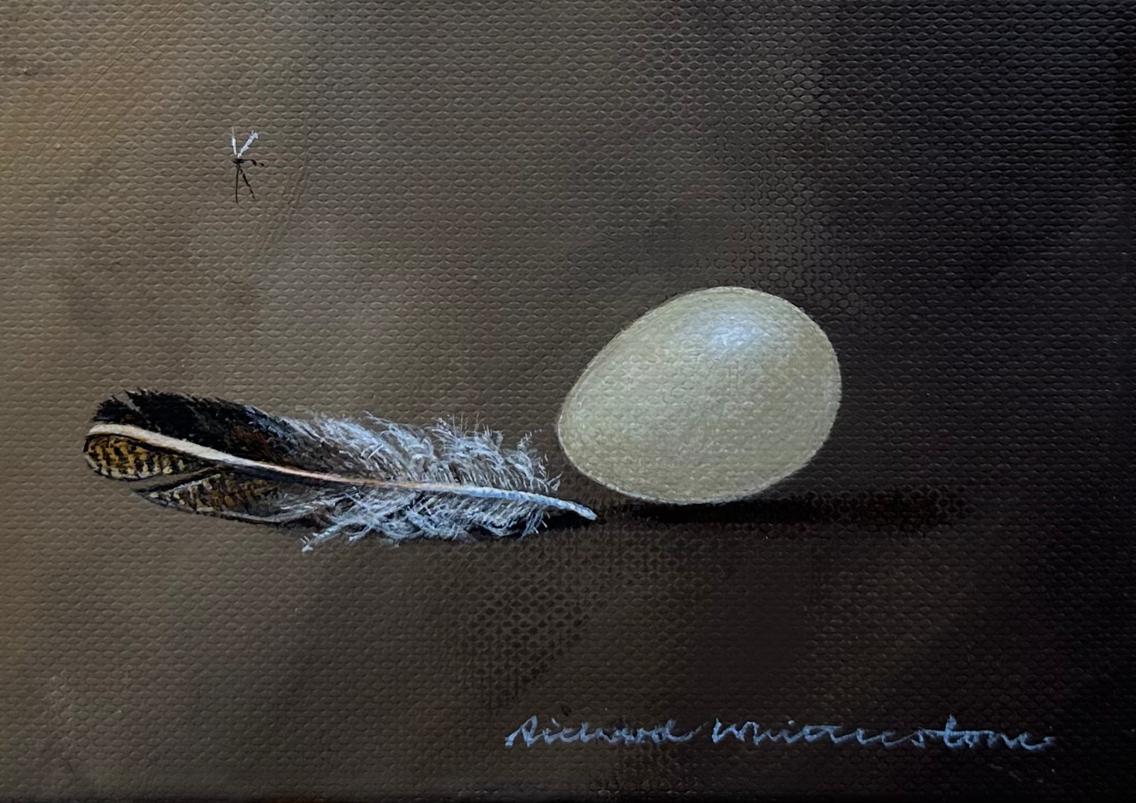 grey-partridge-egg-and-feather