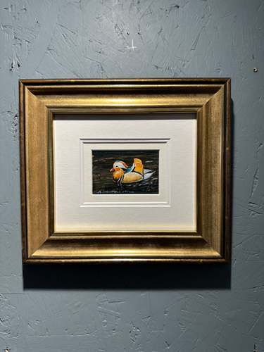 Mandarin Drake | Richard Whittlestone Wildlife Gallery