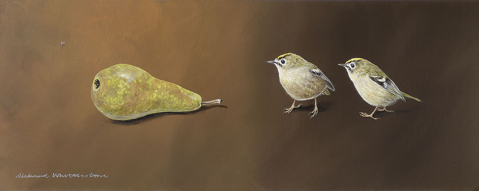 Original Wildlife Paintings | Richard Whittlestone