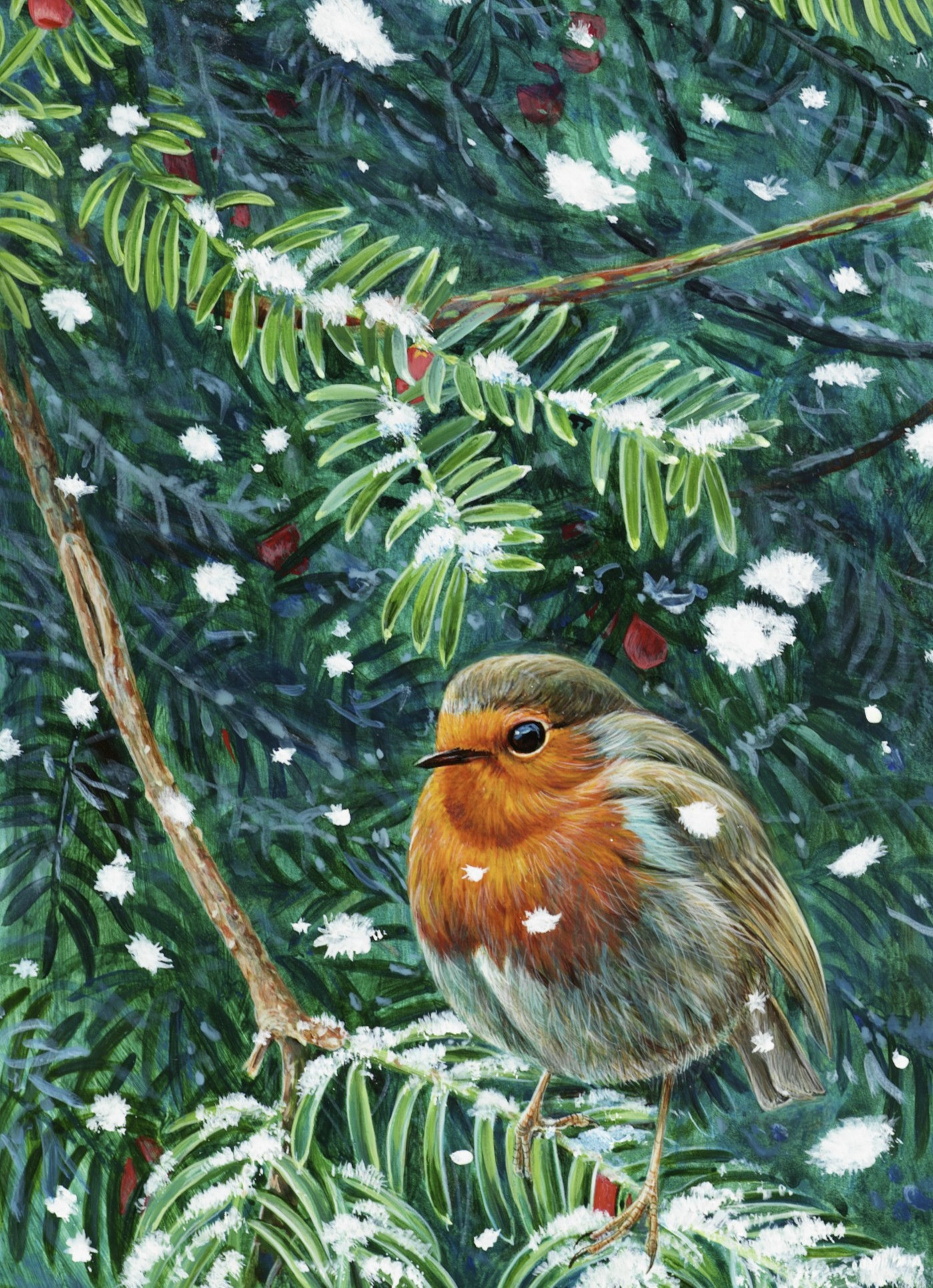 december-robin