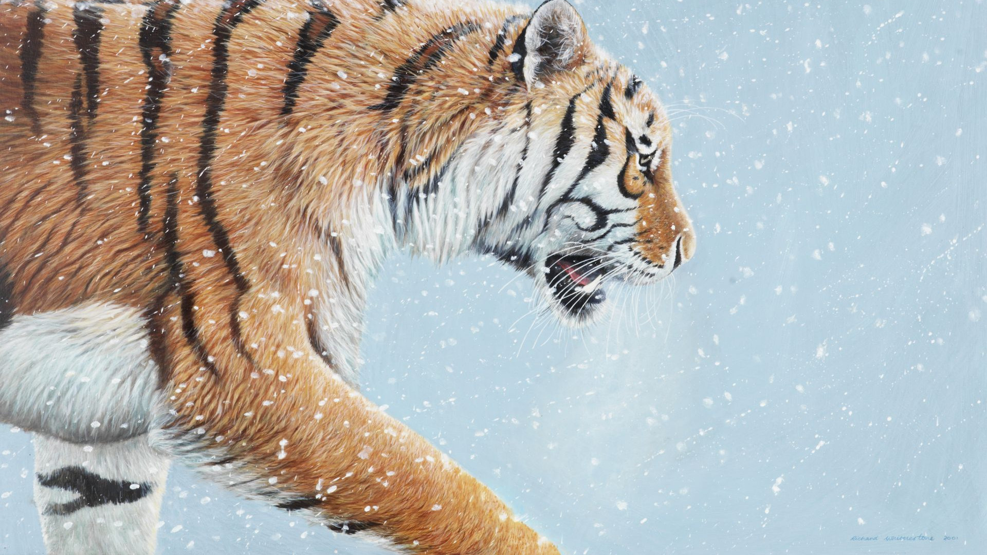 Wildlife Art Gallery | Richard Whittlestone Wildlife Gallery | England