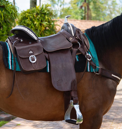 Silla Chaparral Clásica | Arassat