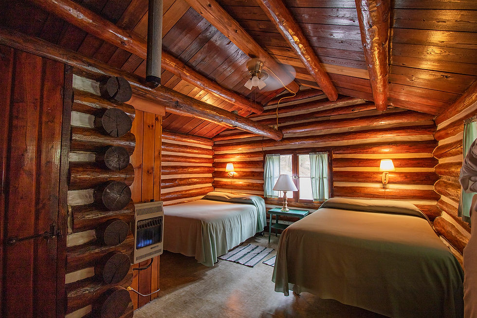 Cook Forest | United States | MacBeths Cabins
