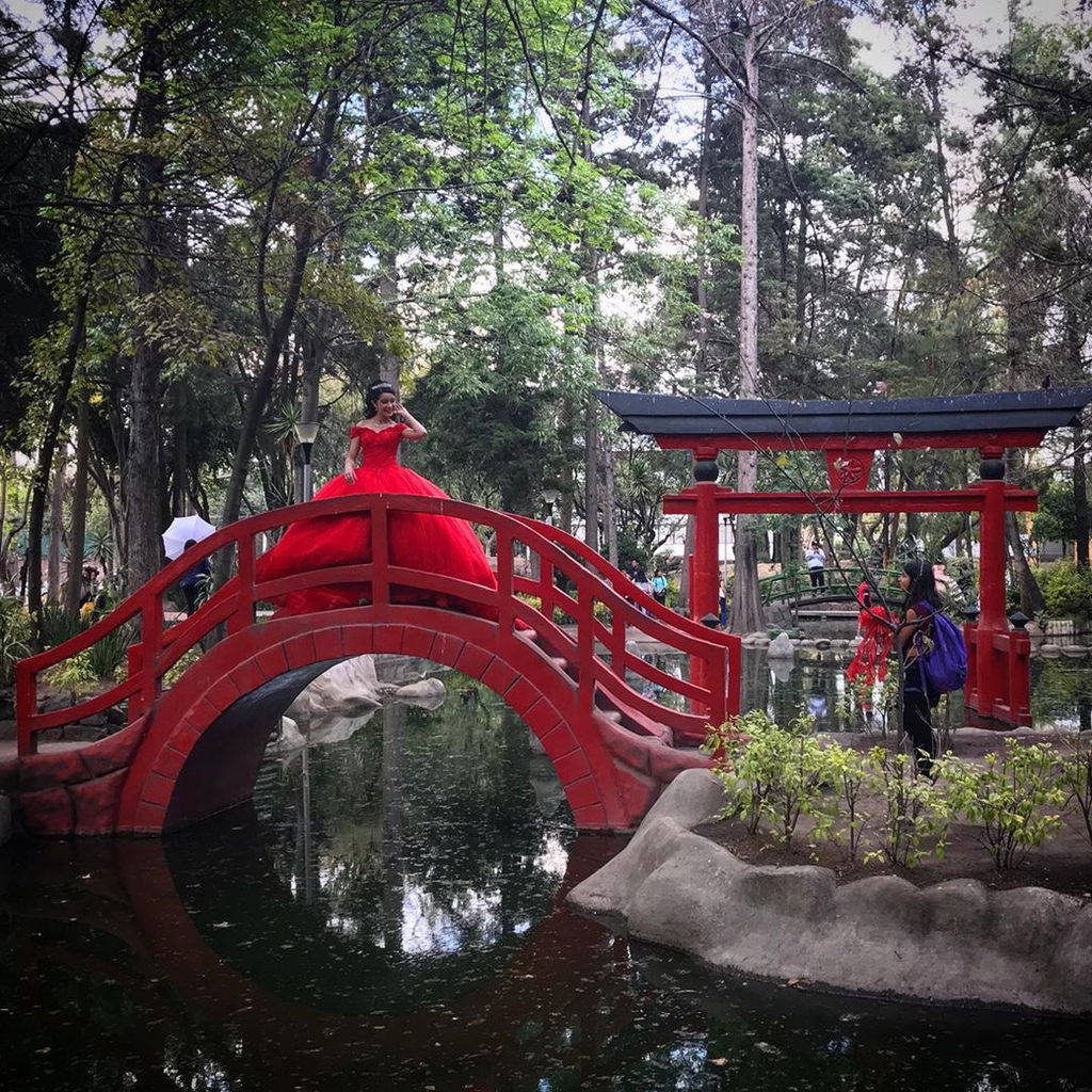 Megan Frye Writer Photographer blog