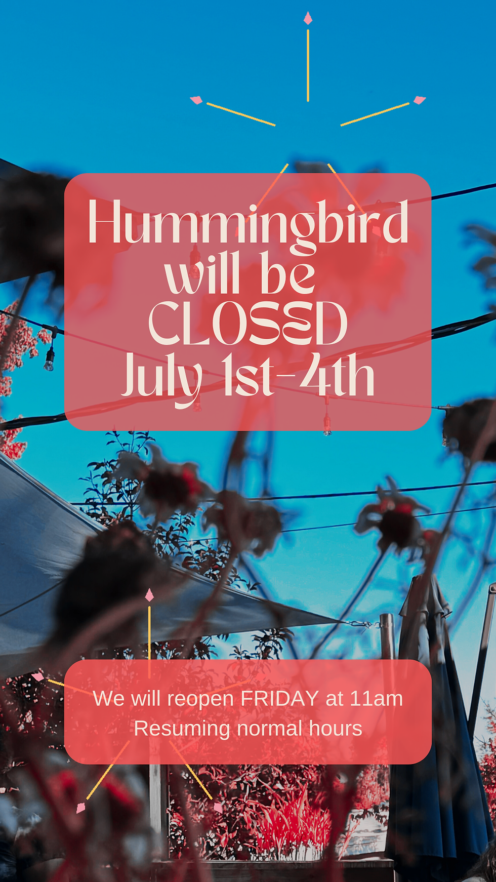 Hummingbird Wine Bar | Wine Club | Tallahassee