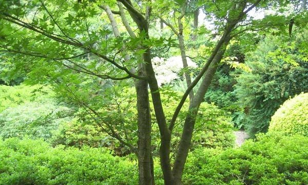 Garden Design | sarahcadmangardendesign | England