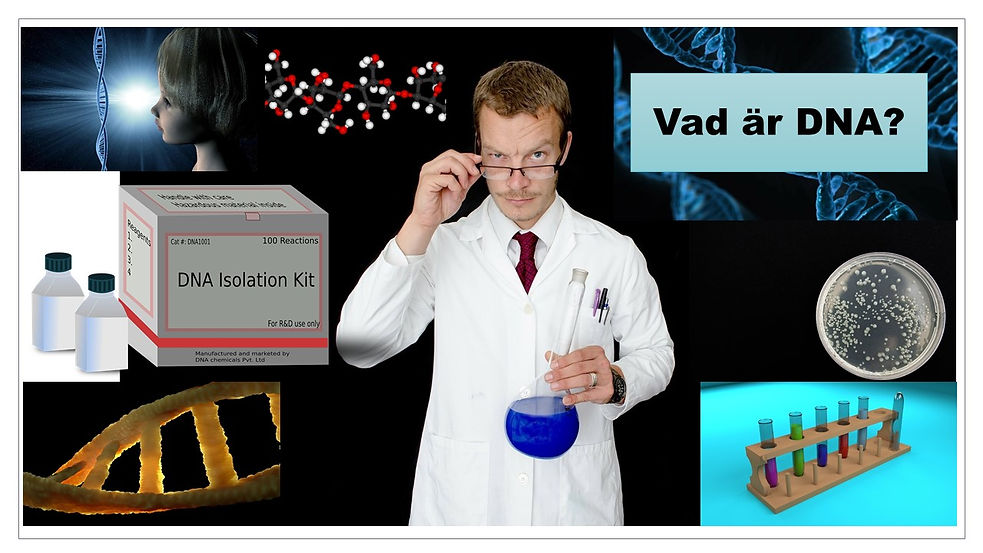 Kunskapsbanken | Universitet I Storst