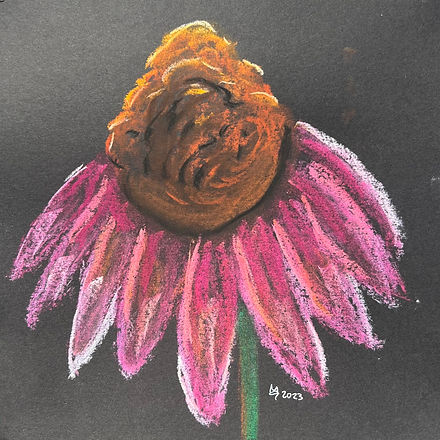 Home | Melissa Mather