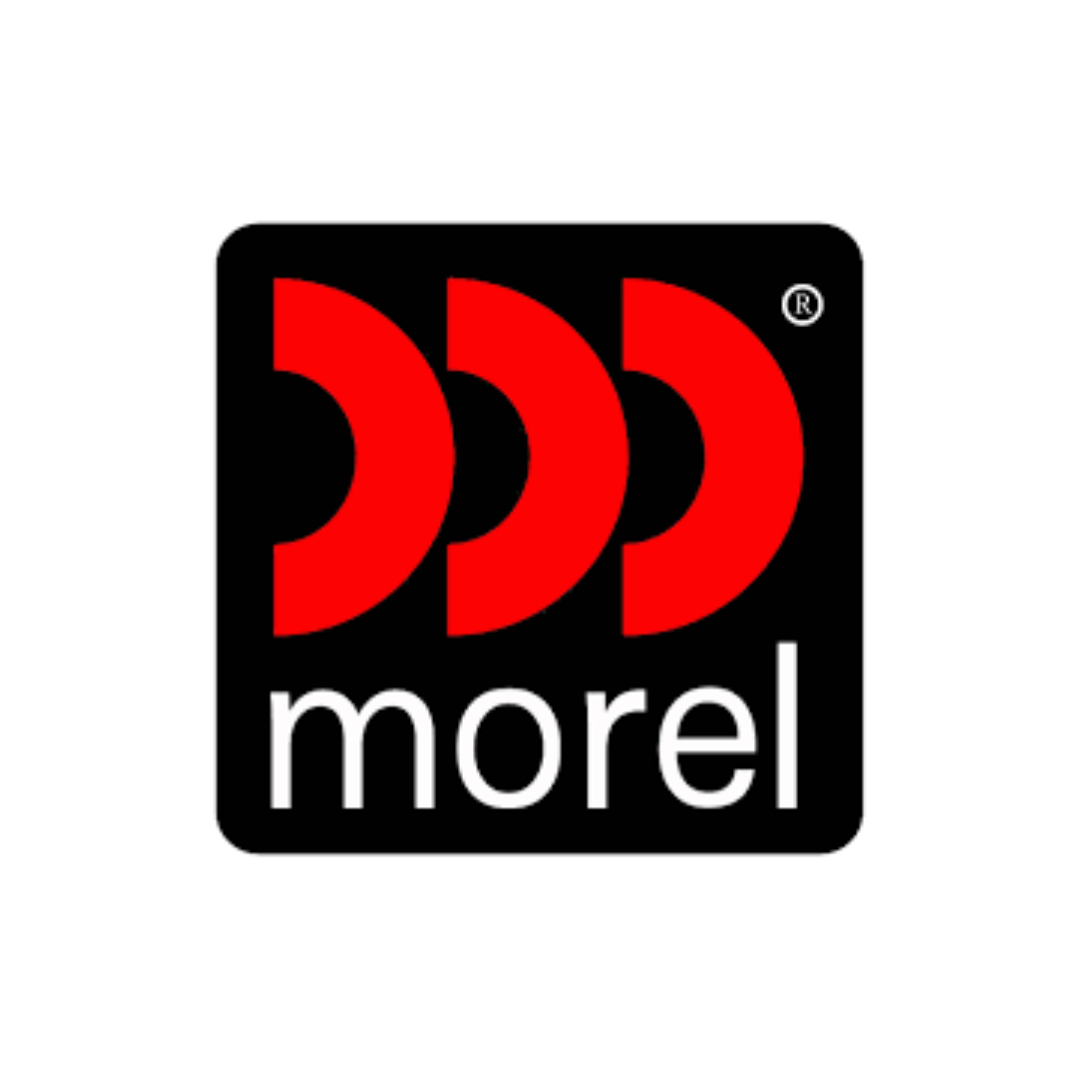 Morel