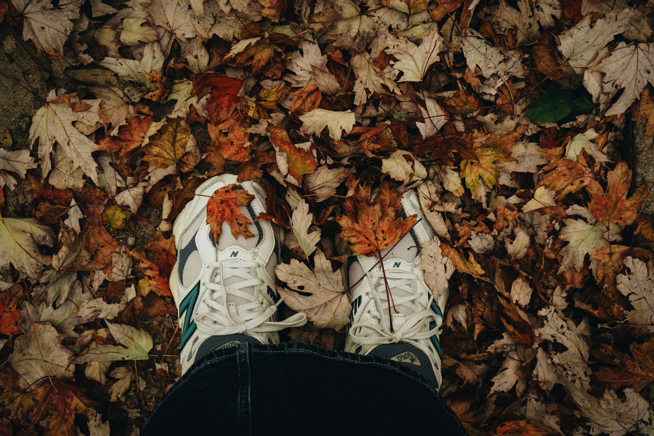 Exploring Fall Fitness Activities in Wellesley