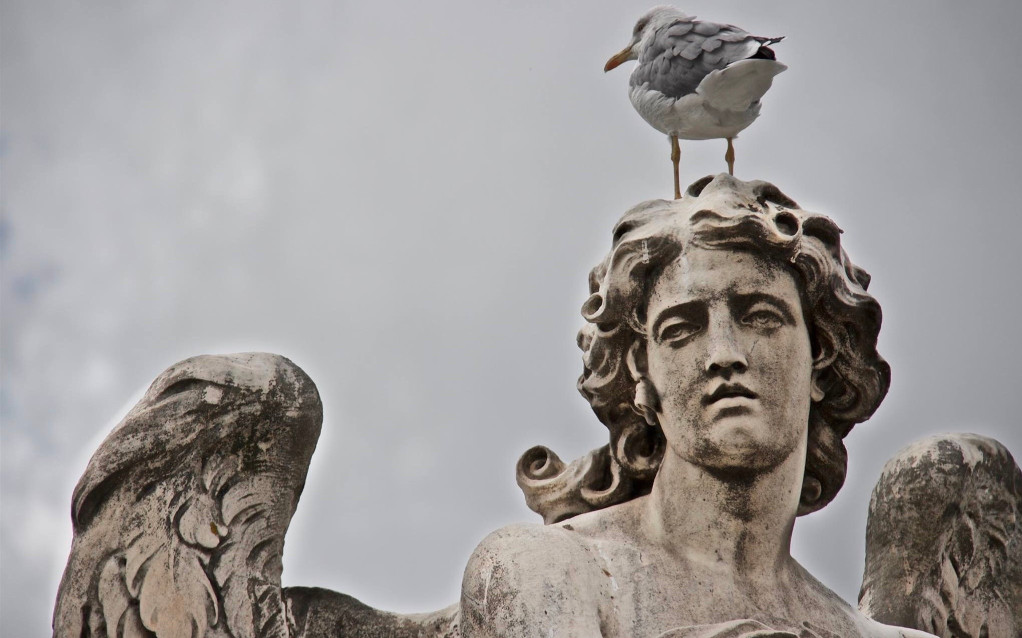 Pascal Communara Photography