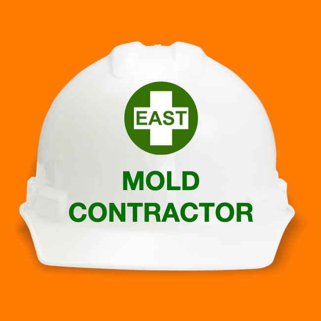 Mold Remediation Contractor | EAST Centers of NY
