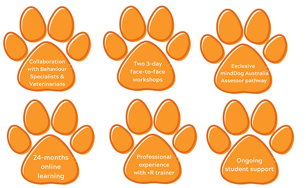 Certificate IV Animal Behaviour and Training | Australia | Delta Institute