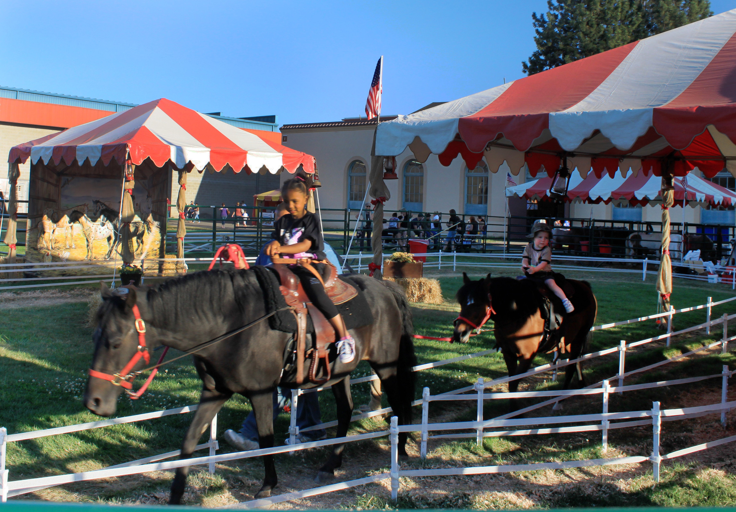 PONY TRAIL RIDE | Great American Entertainment