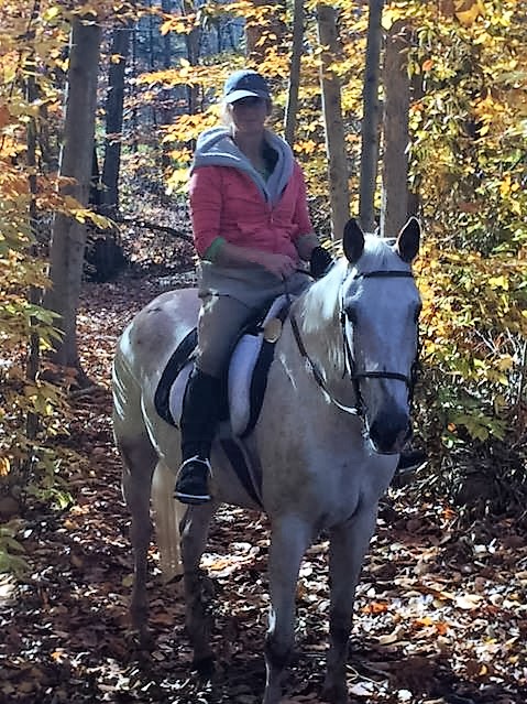 Timber Creek Stables