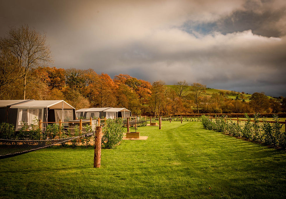 Home | Glamping Tents | Pods | Cae Llwyn Lodges, Rhayader, LD6 5PE, UK