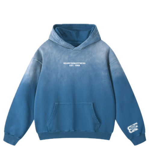 Blue Bear | The Bear Cave