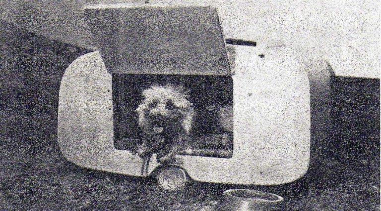 An Australian RV Pathfinder