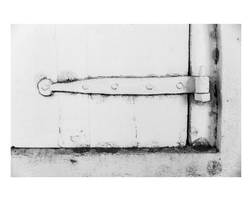 Remnants of a Colonial Past | Cane Roots Art