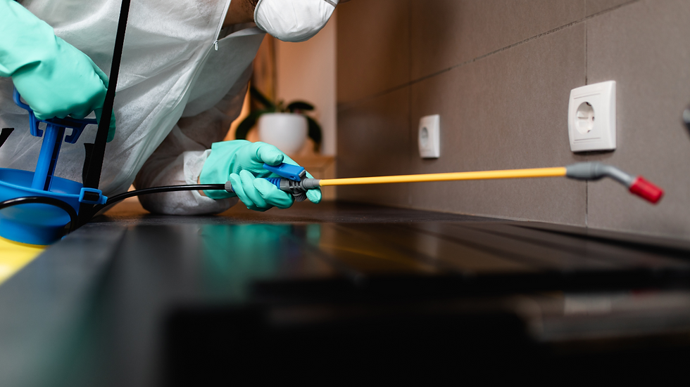 Exterminator | Pest Control | Home | Superior Solutions Pest Control ...