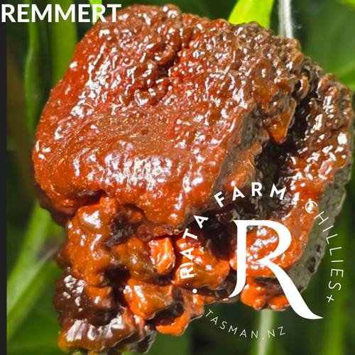 REMMERT Seeds Isolated | Rata Farm
