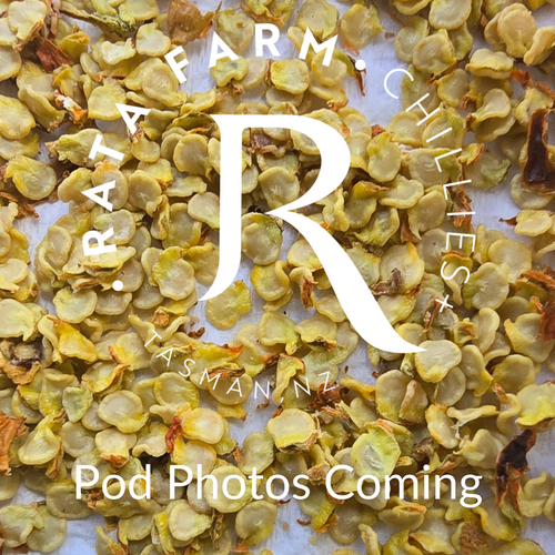 Purple Death Seeds | Rata Farm