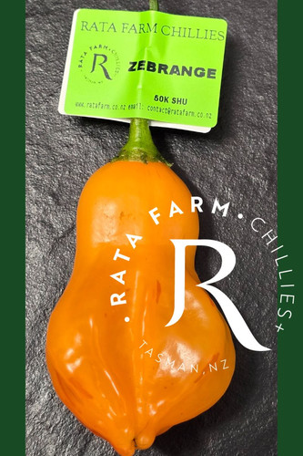 Zebrange Seeds | Rata Farm