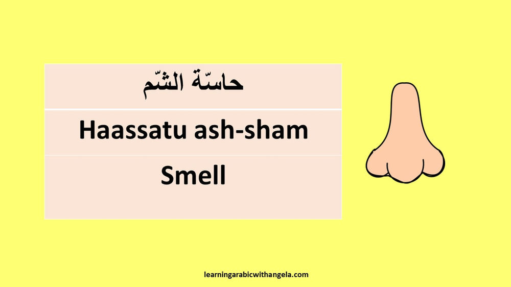 The Five Senses in Arabic