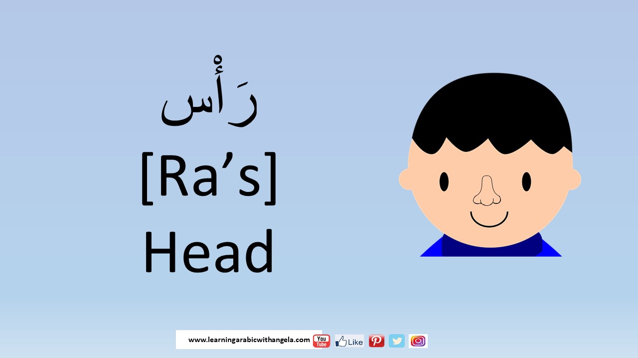 Body Parts in Arabic Language