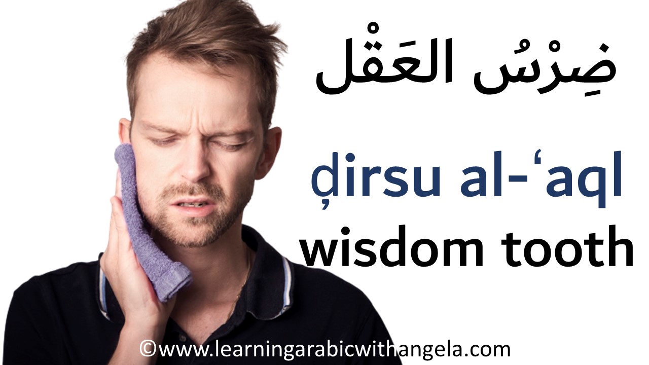 Dental Hygiene in Arabic