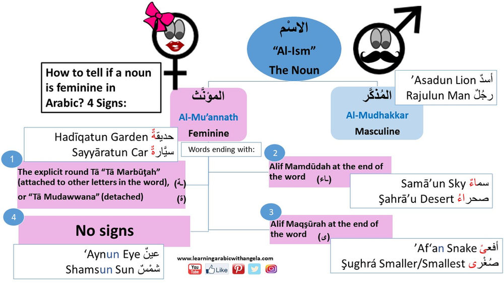 Feminine and Masculine Nouns in Arabic
