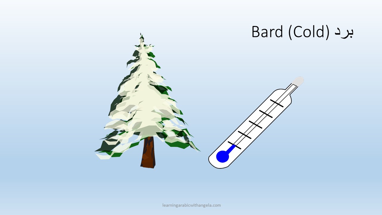 Learn about the Four Seasons and Weather in Arabic for Kids