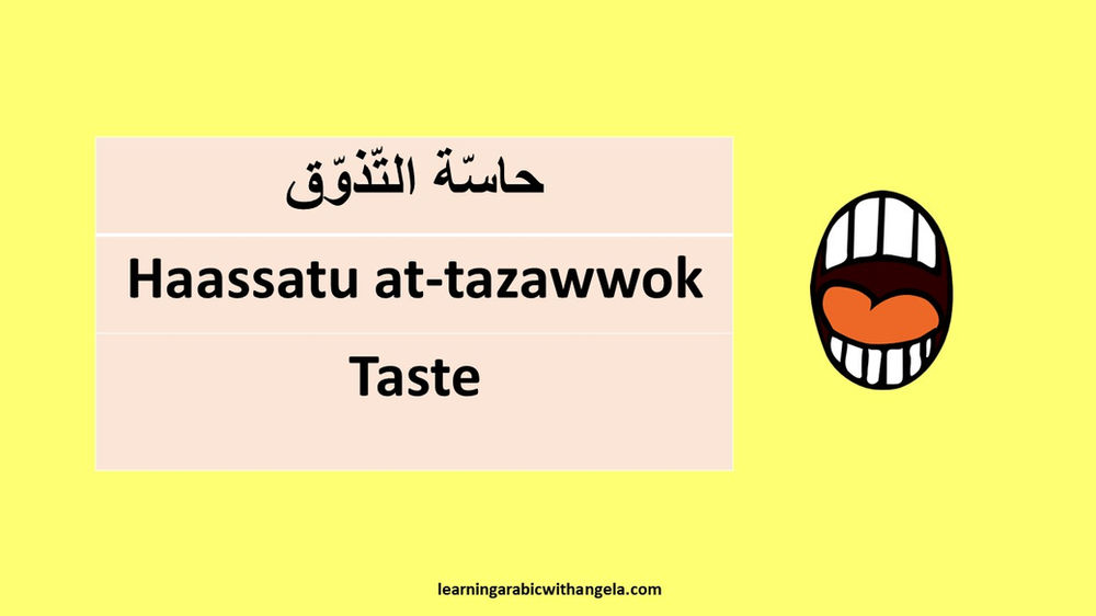 The Five Senses in Arabic