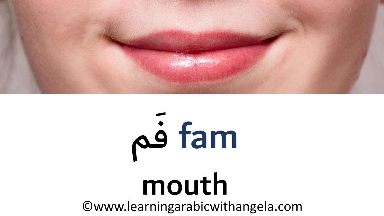Dental Hygiene in Arabic