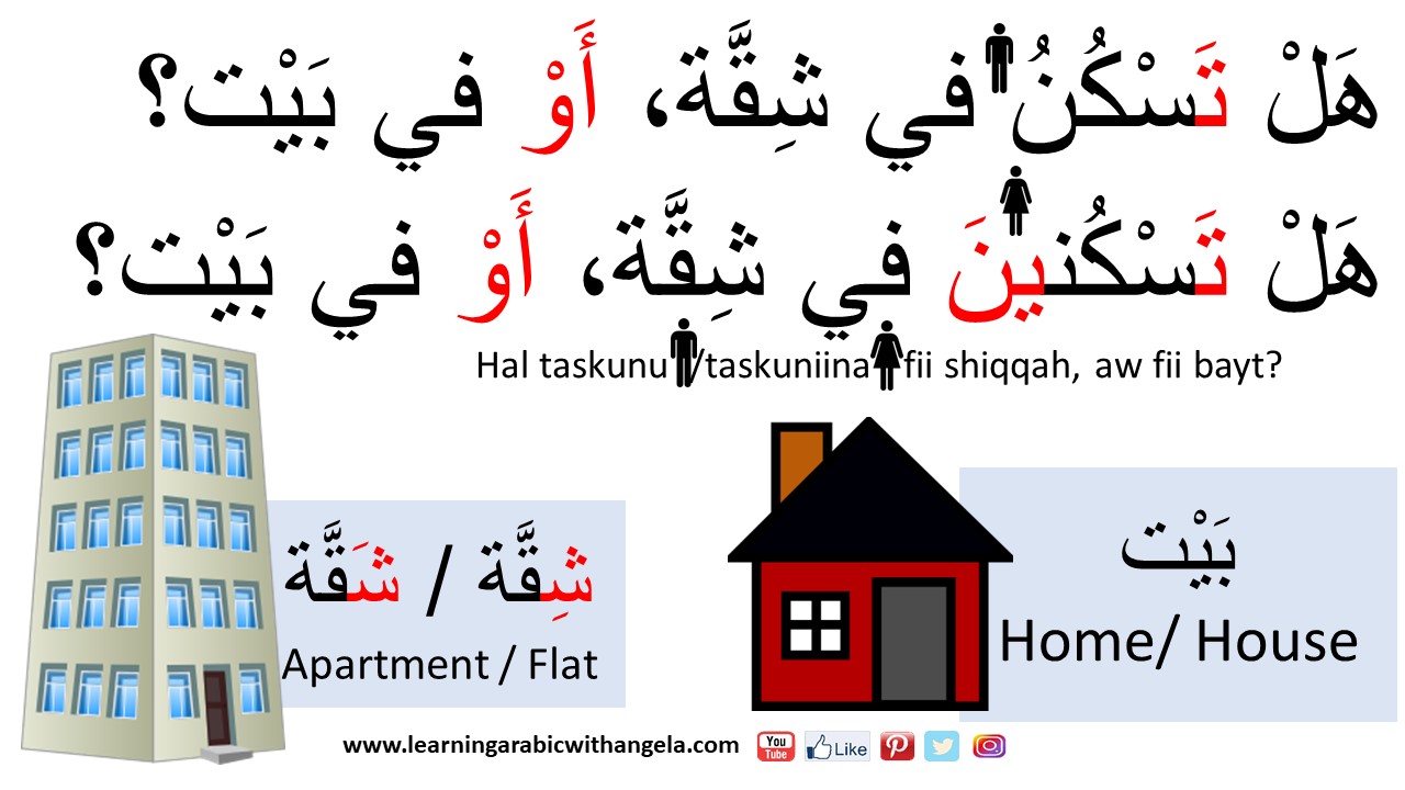 What's your Address? in Arabic