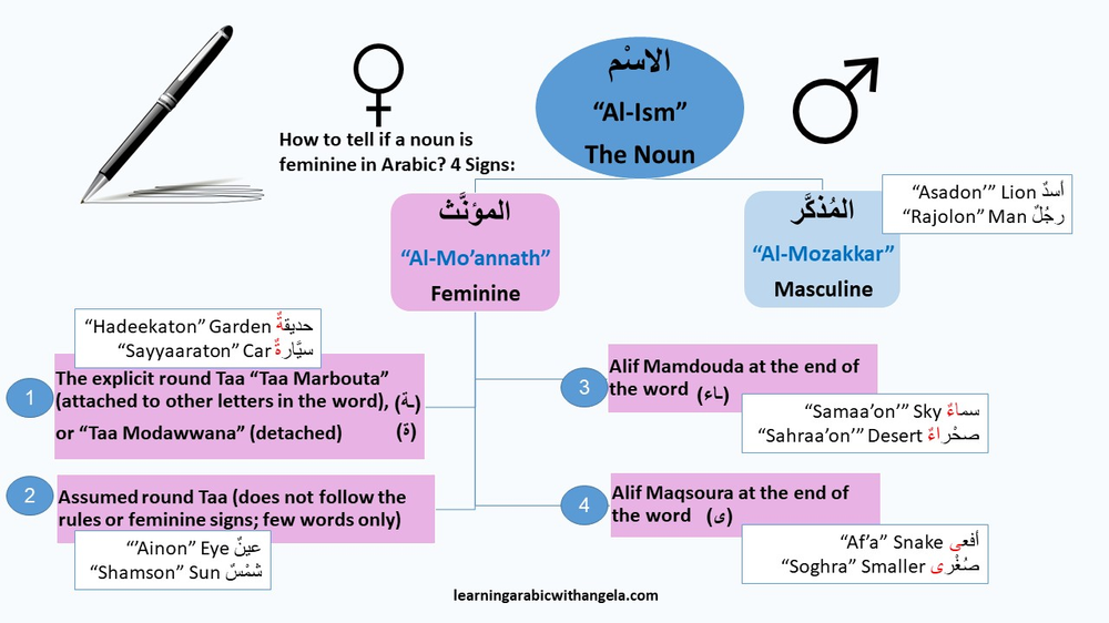 Feminine and Masculine Nouns in Arabic