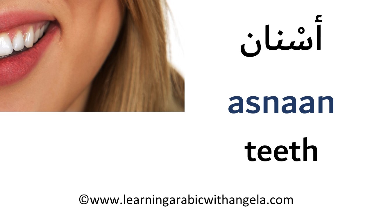 Dental Hygiene in Arabic