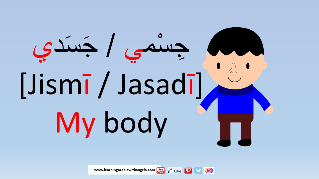 Body Parts in Arabic Language